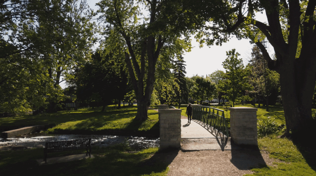 Land in Lanark - Lanark