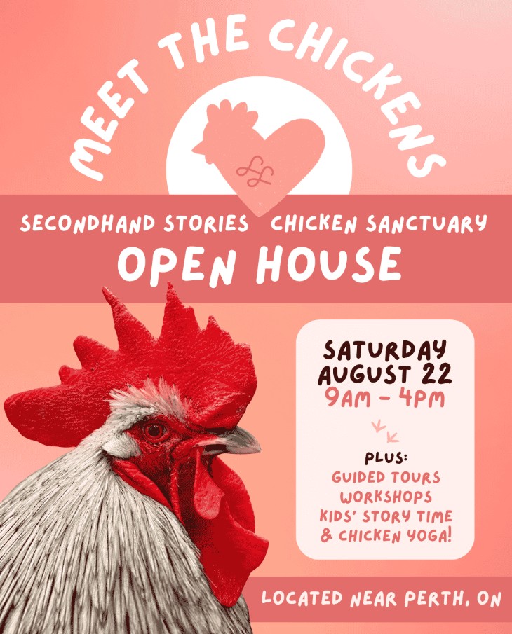 Secondhand Stories Sanctuary - Lanark